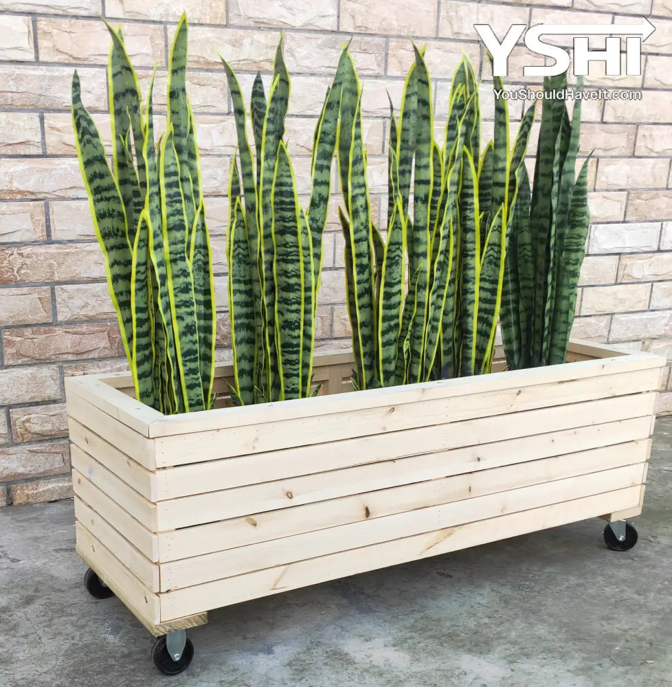 Versatile Rolling Planter for Indoor, Outdoor, Home, and Commercial Us